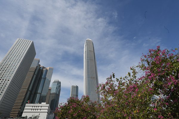 news.gov.hk - FSDC chairman named