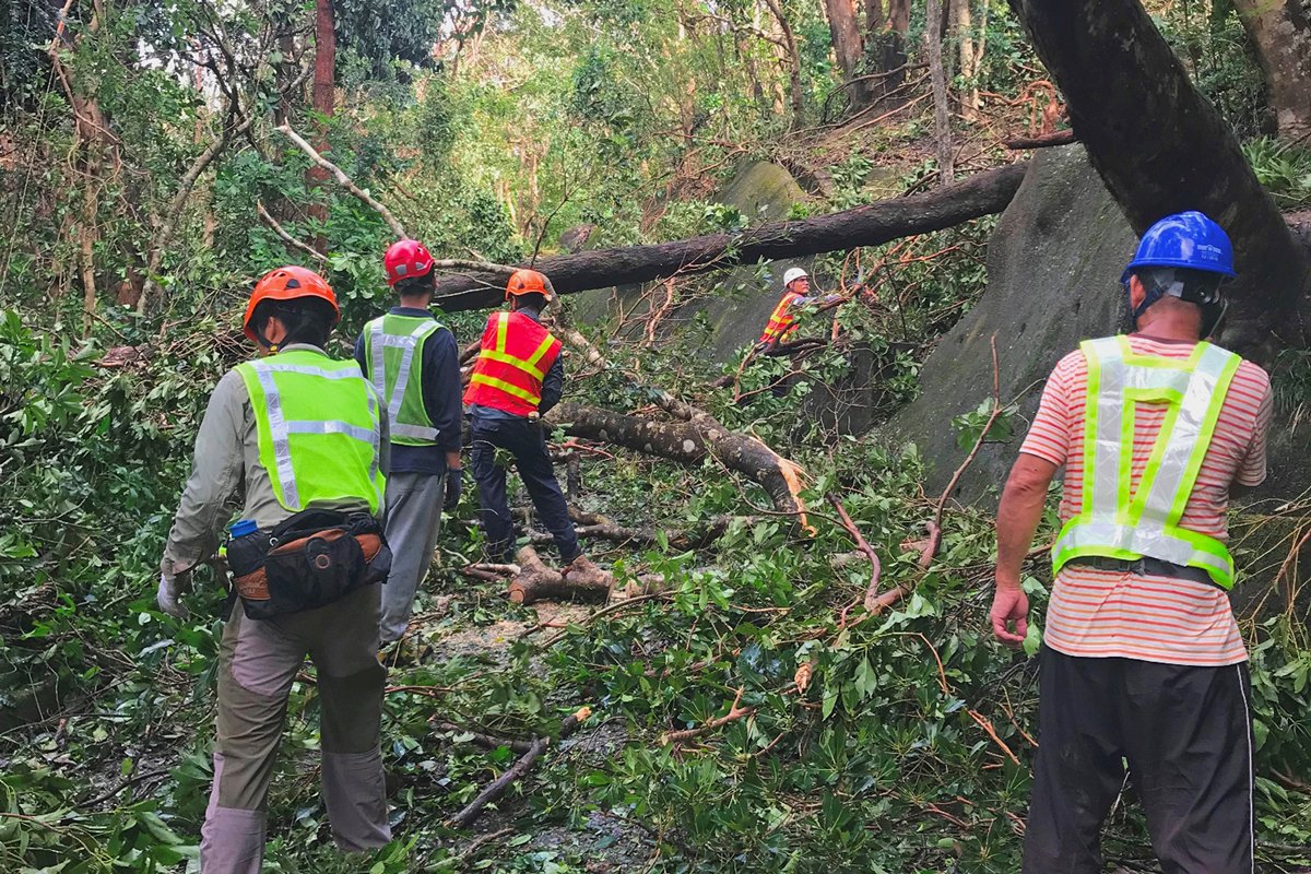 news.gov.hk - Typhoon cleanup continues
