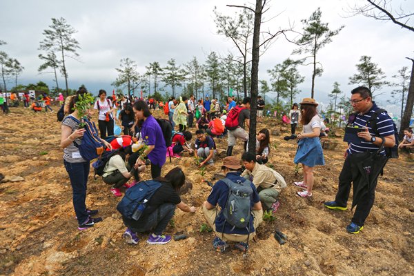news.gov.hk - Tree planting events set