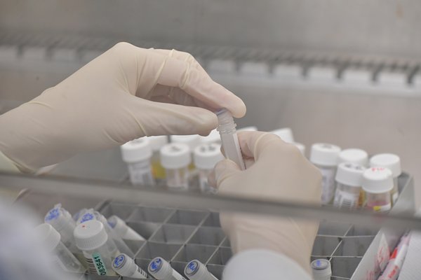 news.gov.hk - Virus testing arrangements explained