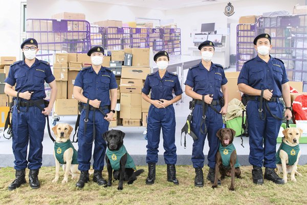 news.gov.hk - Firearm Detector Dog Team formed