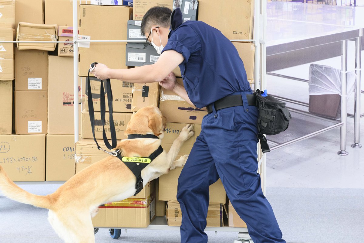 news.gov.hk - Firearm Detector Dog Team formed