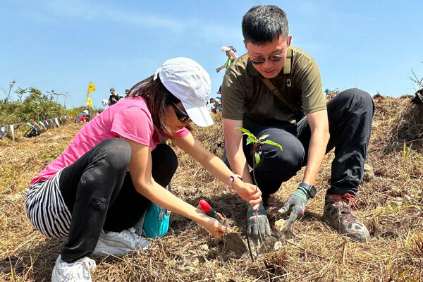 news.gov.hk - Tree planting events planned