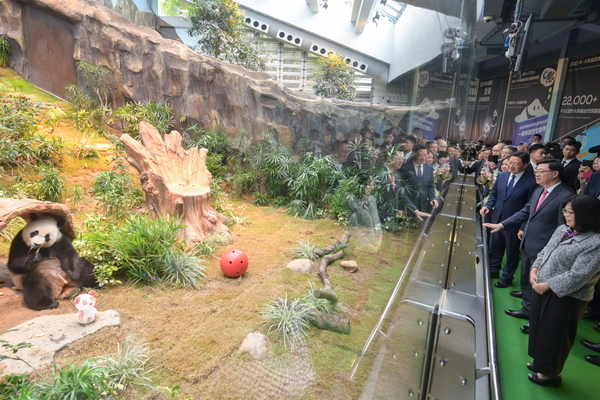 news.gov.hk - Giant pandas ready to meet public